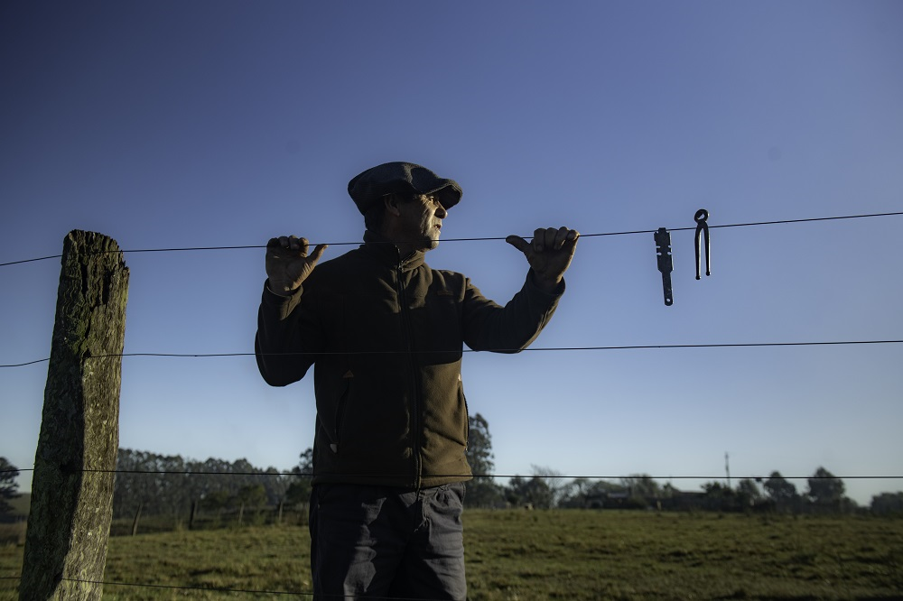 'Essa Cerca Tem História' conta como alambrador gaúcho realizou o sonho ...