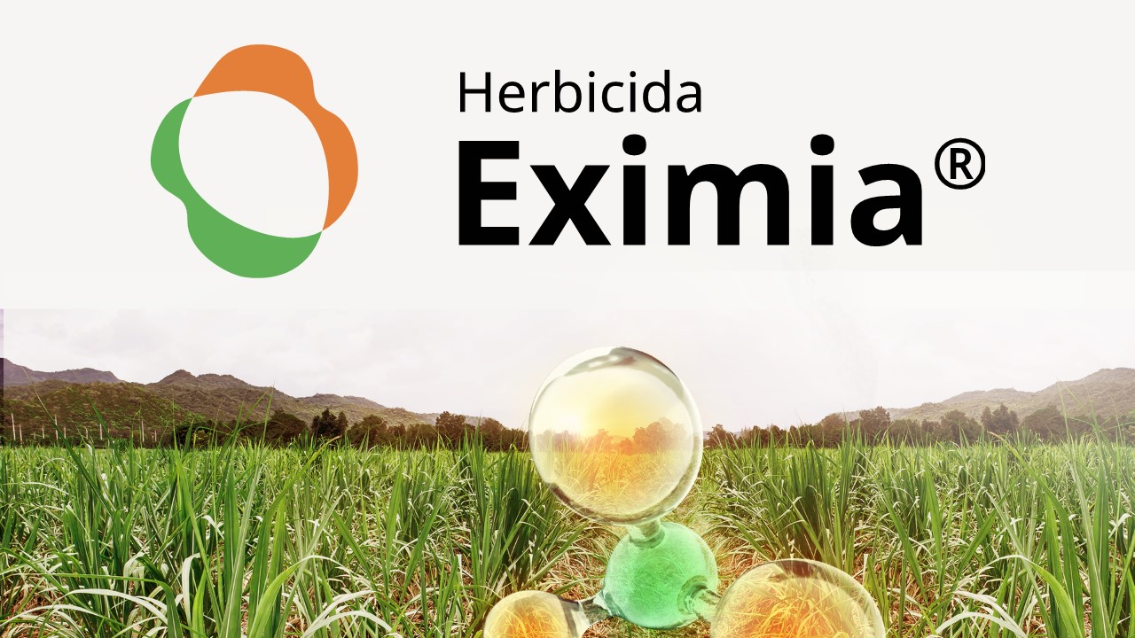 UPL lança Eximia, herbicida seletivo e eficaz no controle de plantas ...