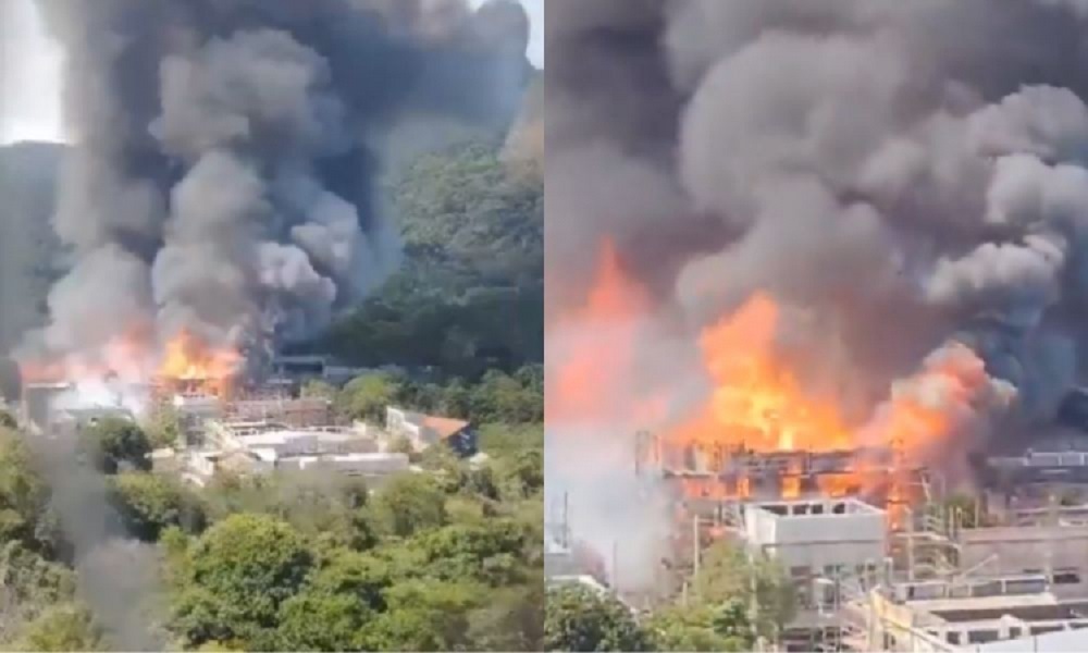 Globo analisa impactos do incêndio que atingiu o Projac e afetou ...